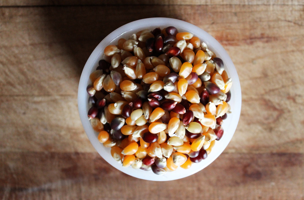 50 lbs Bulk Ancient Grain Organic Popcorn Kernels (Product of Canada ...